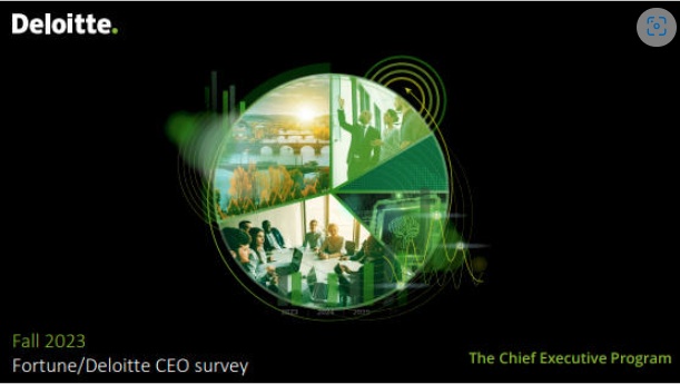 Deloitte: Geopolitical Instability and Inflation Top External Risks for ...